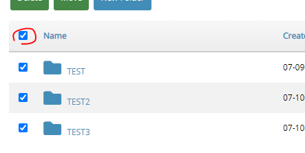 Selecting Multiple Items